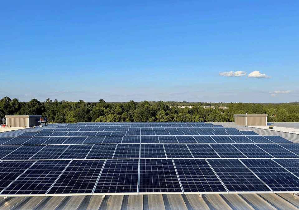 The Impact of President Biden Raising Section 201 Tariff Rate Quota ...